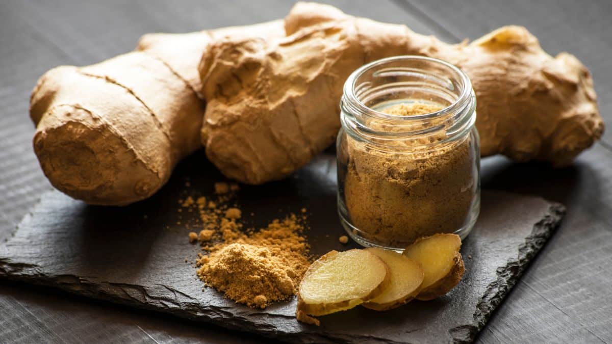 Yummy Slim ️ Test, Inhaltsstoffe & Wirkung [ NEU ]